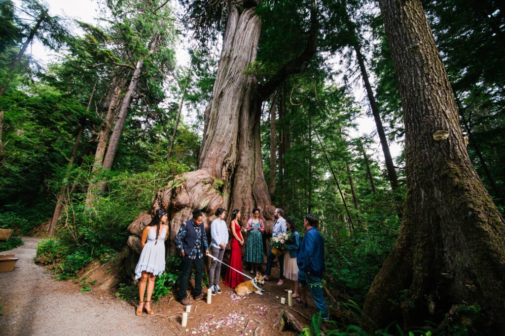 Ruby Beach Elopement - Jerome Tso - Seattle & Portland Wedding Photography